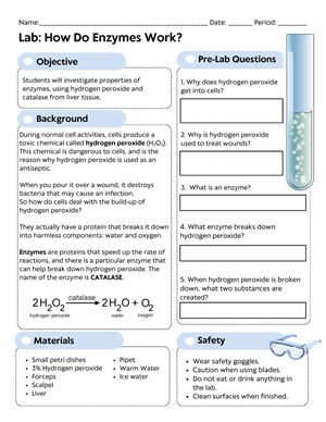 Explore Enzymes with Hydrogen Peroxide and Liver