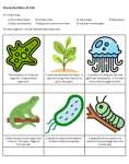Explore the Characteristics of Life with this Worksheet