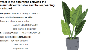 Identifying Manipulated and Responding Variables