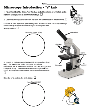 Microscope Introduction – Basic “e” Lab