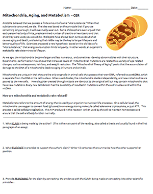 Mitochondria, DNA, and the Aging Process
