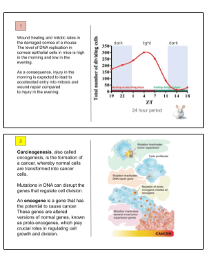 Mitosis and Cancer – Data Analysis on Carcinogenesis