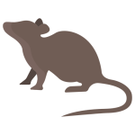 Evolution & Taxonomy