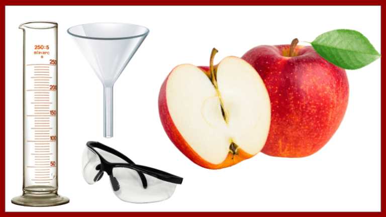 The Biology Corner – Resources for Teachers