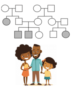 Analyzing Human Genetics Using Pedigree Charts