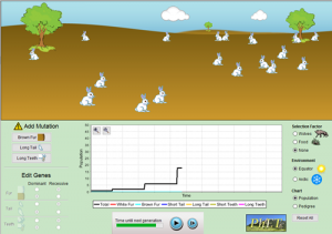 wolf | The Biology Corner