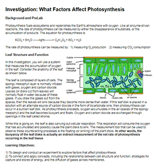 Investigation: Photosynthesis and Leaf Discs