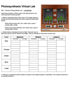 Photosynthesis Lab – How Light Color Affects Growth