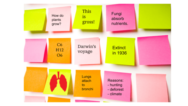 Student Activities for Reading Assignments