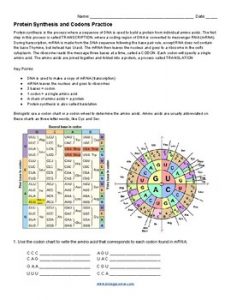 Protein Synthesis Practice Using Codon Charts