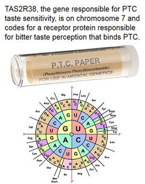 DNA Lesson Using PTC as an Anchoring Phenomenon