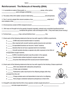 The Molecule of Heredity - Chapter Reinforcement