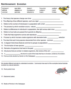 Reinforcement: Evolutionary Process and Examples