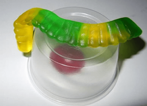 worm | The Biology Corner