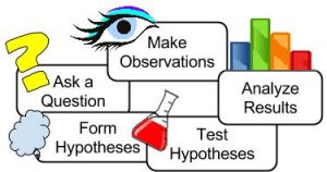 Investigation: What Are the Processes of Science