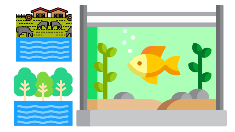 The Biology Corner – Resources for Teachers