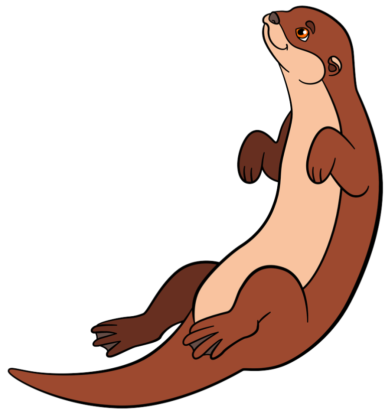 Case Study - Sea Urchins, Kelp Forests, and Consservation