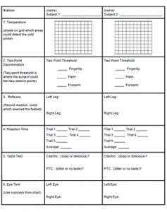Explore the Senses with this Lab Station Activity