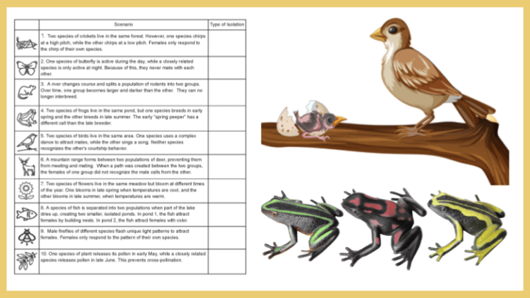 The Biology Corner – Resources for Teachers
