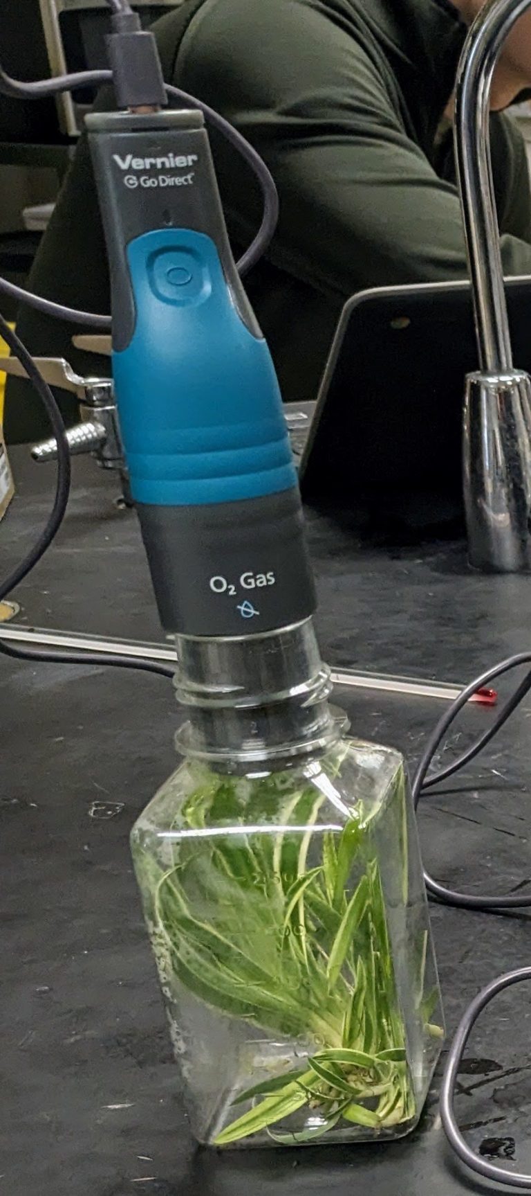 Inquiry Lab on Photosynthesis and Respiration