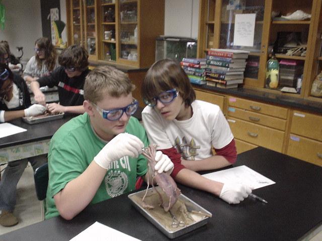 teen | The Biology Corner