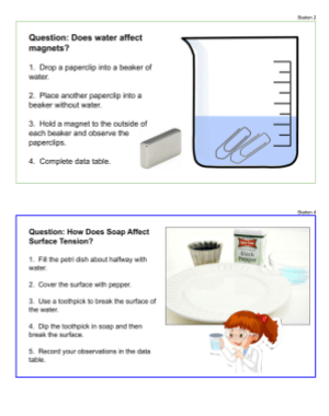 Interactive Lab Station Activity on Scientific Variables