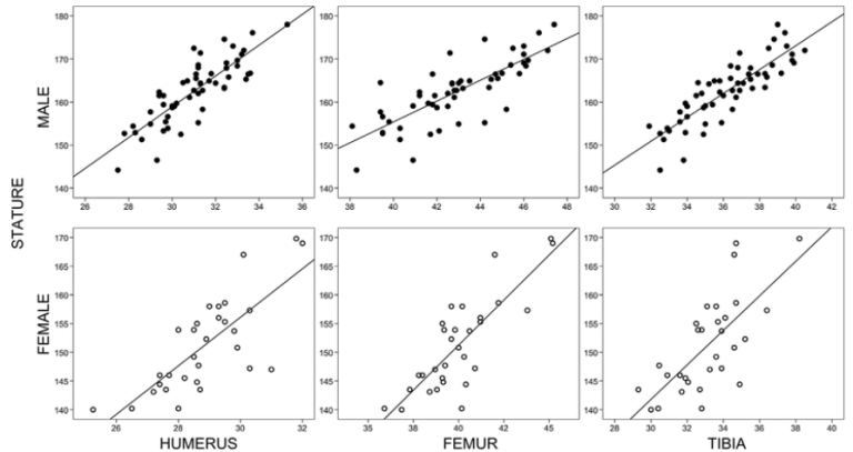 Data Analysis – Stature and Bone Length