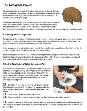 Collecting and Observing Local Tardigrades