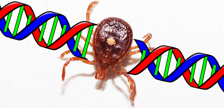 crispr | The Biology Corner