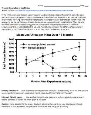 Ecology Lesson on Trophic Cascades with Google Slides