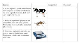 Independent & Dependent Variables Practice
