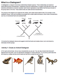 Student Activity - How Are Animals Arranged on a Cladogram?