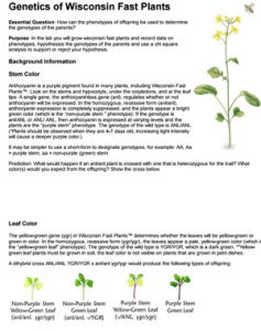 AP Biology – Investigation 1
