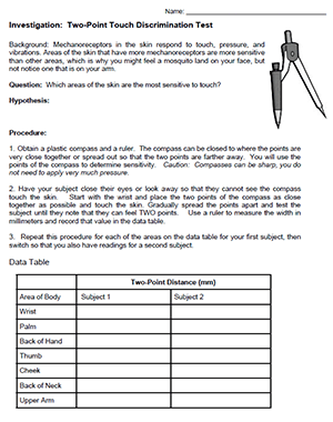 Investigation: Two Point Discrimination Test