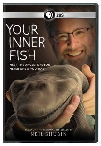 Film on Evolution - Your Inner Fish at Biointeractive