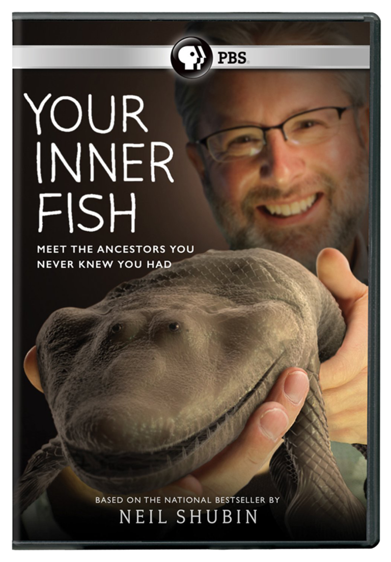 Film on Evolution - Your Inner Fish at Biointeractive